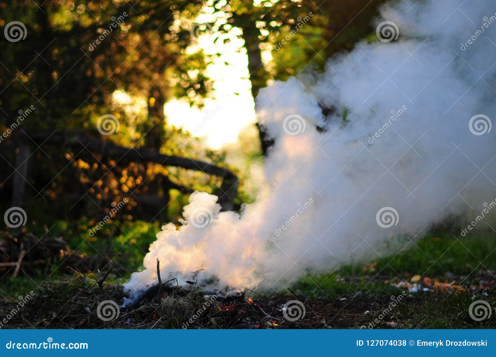 Campfire in the forest stock photo. Image of smoking - 127074038