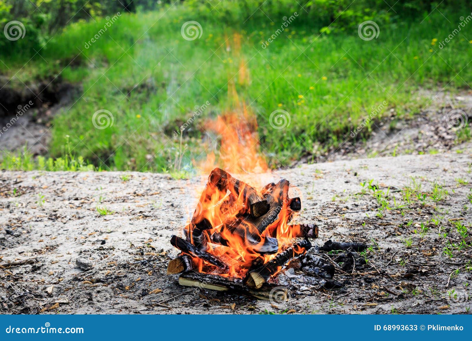 Campfire in forest stock image. Image of barbecue, fire - 68993633