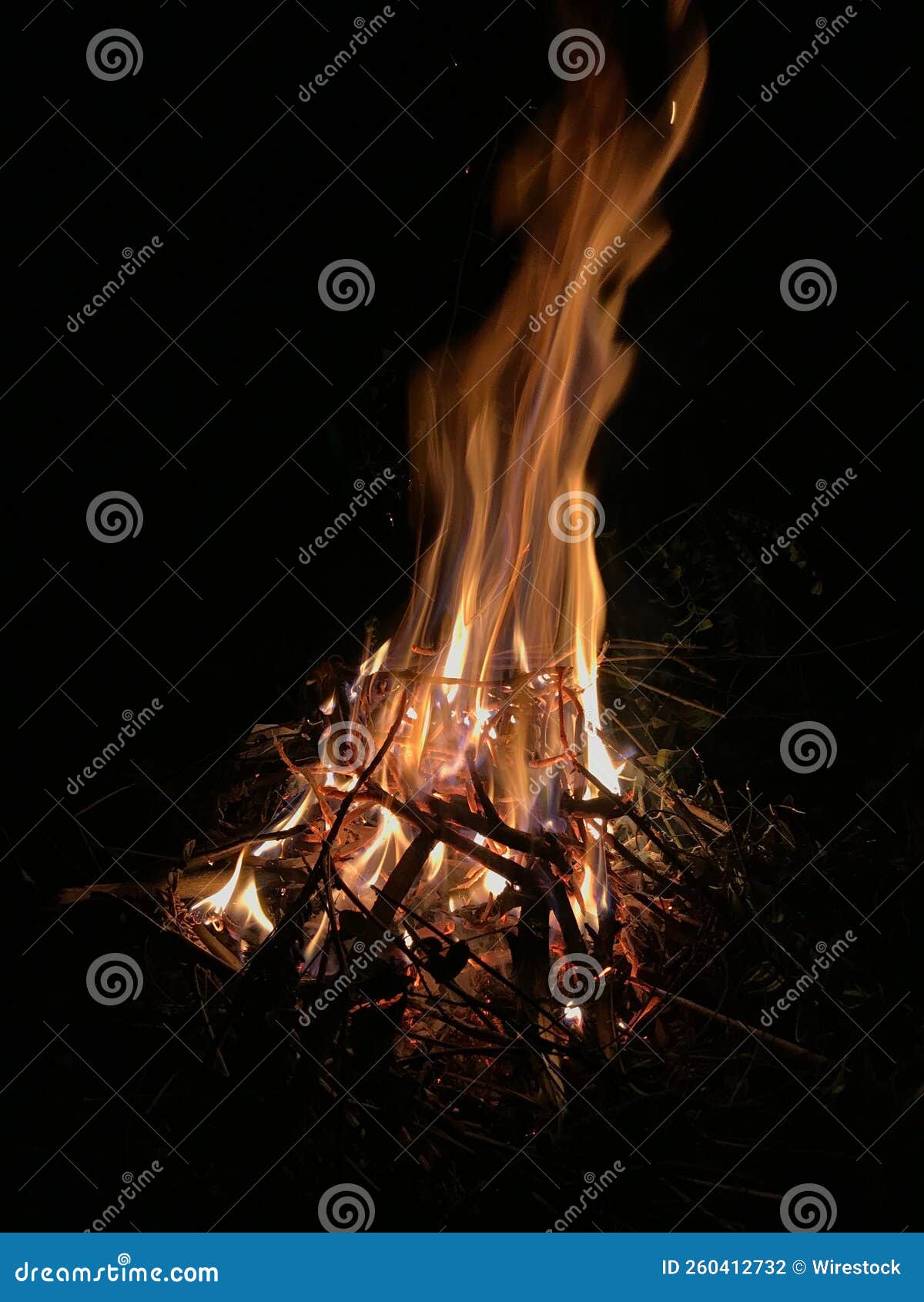 Campfire in the Forest at Night Stock Photo - Image of fire, fireplace ...