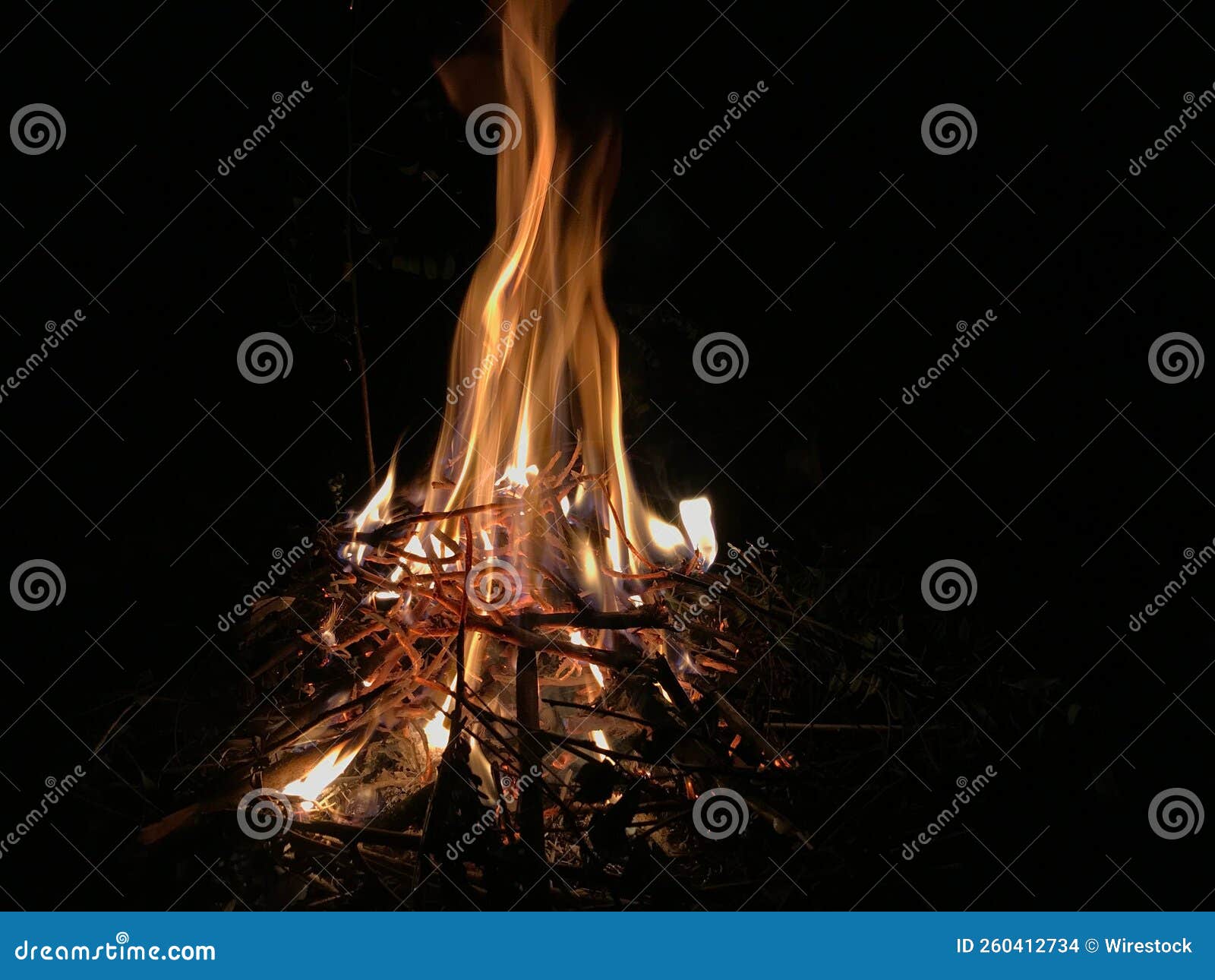 Campfire in the Forest at Night Stock Photo - Image of night, woods ...