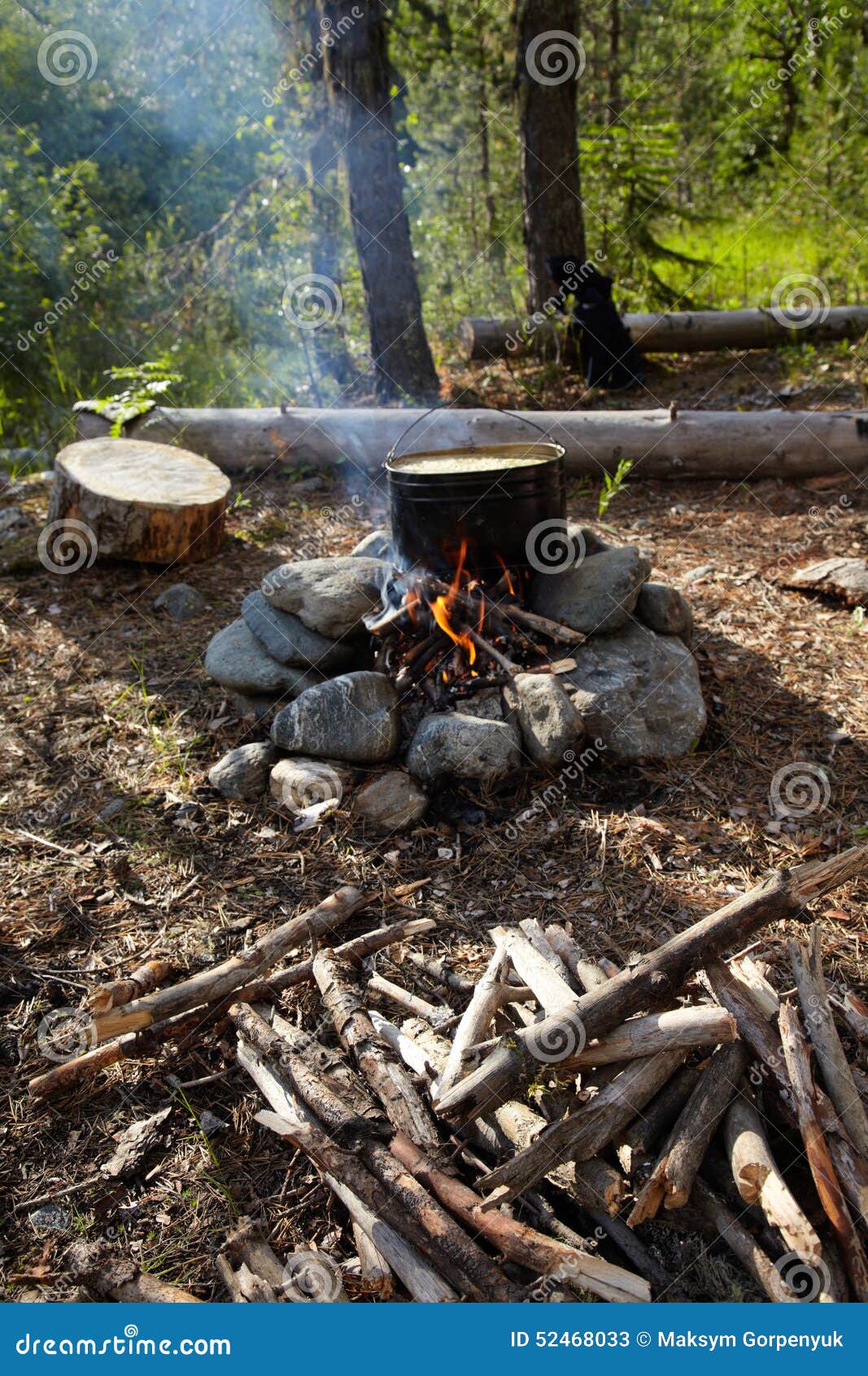 Campfire in a forest stock image. Image of beach, flame - 52468033
