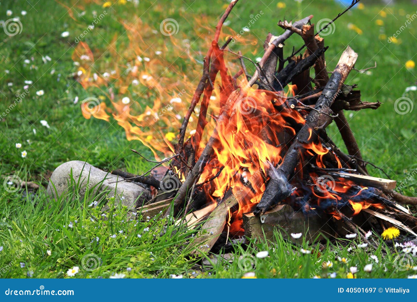 Campfire among Green Grass and Flowers Stock Image - Image of cooking ...