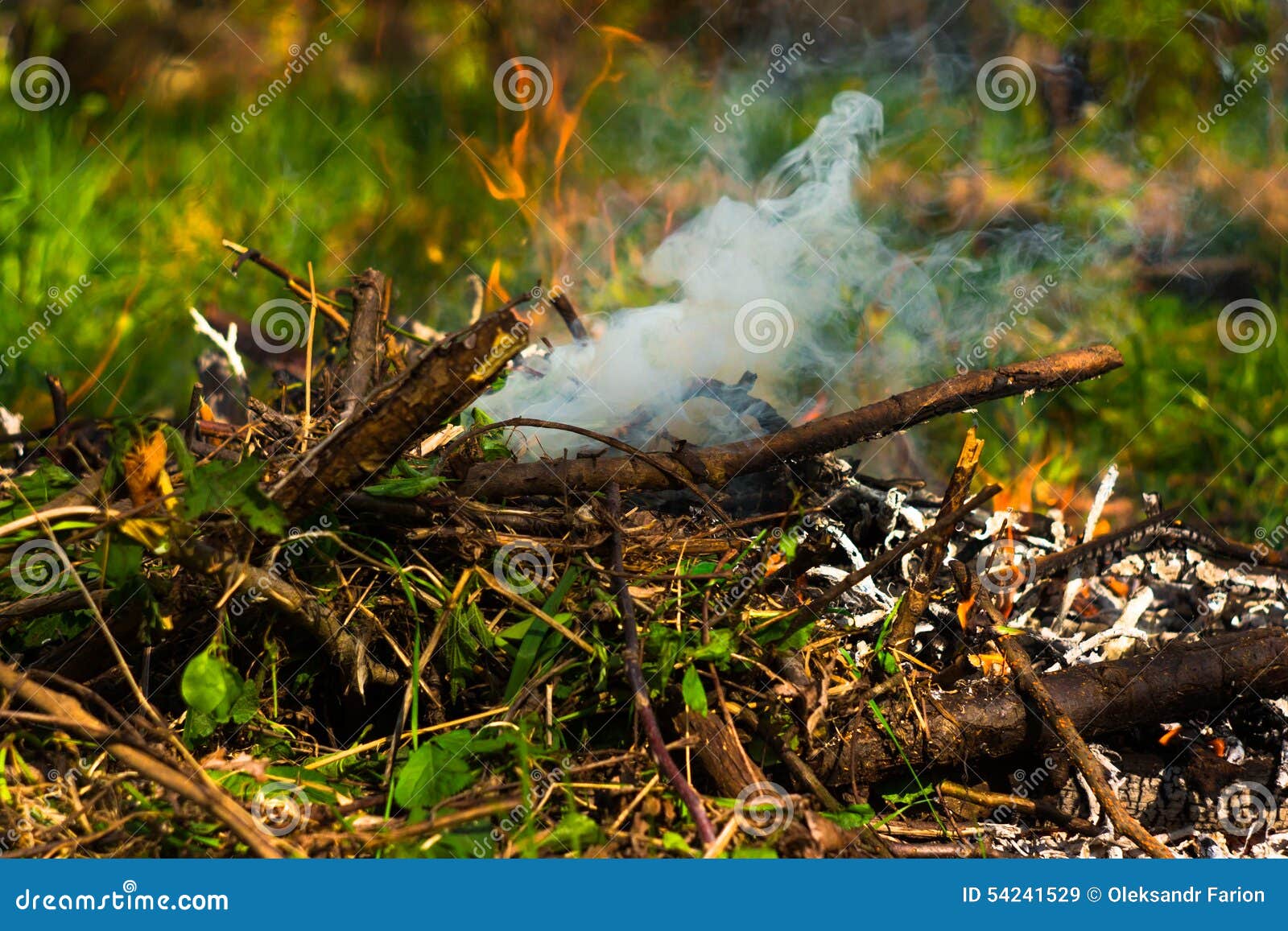 Campfire on green meadow stock image. Image of flammable - 54241529