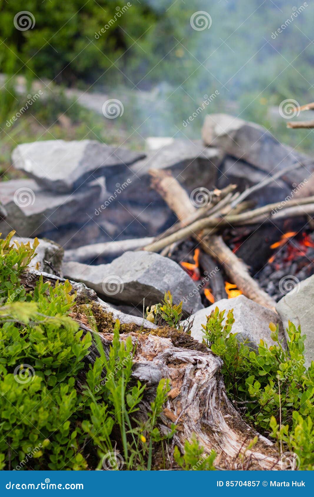 Campfire in Green Summer Forest Stock Image - Image of fiery, outdoor ...