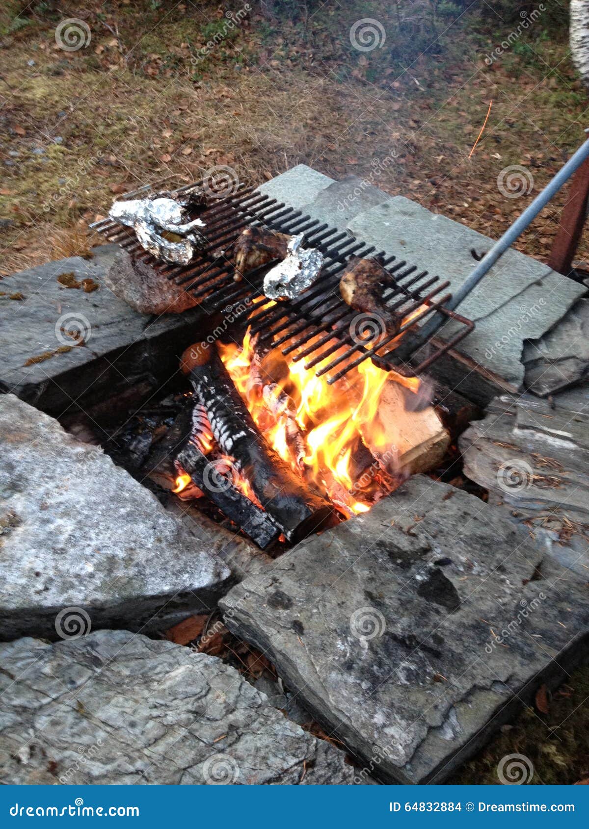 Campfire stock photo. Image of forest, grilling, campfire - 64832884