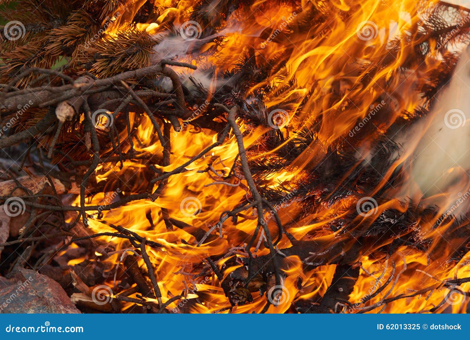 Campfire stock image. Image of night, flame, adventure - 62013325