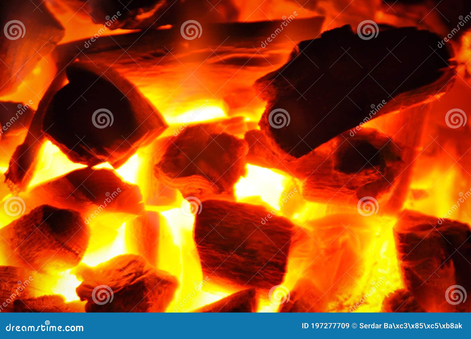 Campfire with Hot Coals, Burning Campfire, Wood Burning Stock Image ...