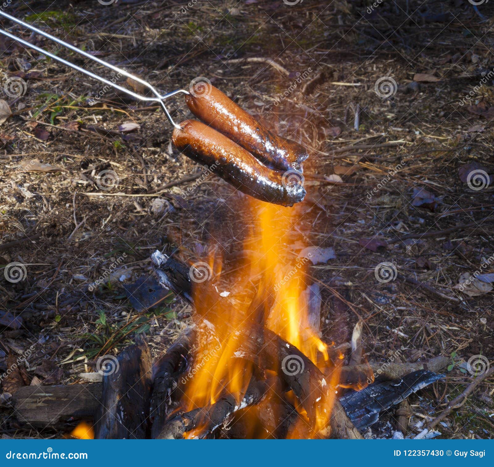 Campfire hot dogs stock photo. Image of meat, backpacking - 122357430
