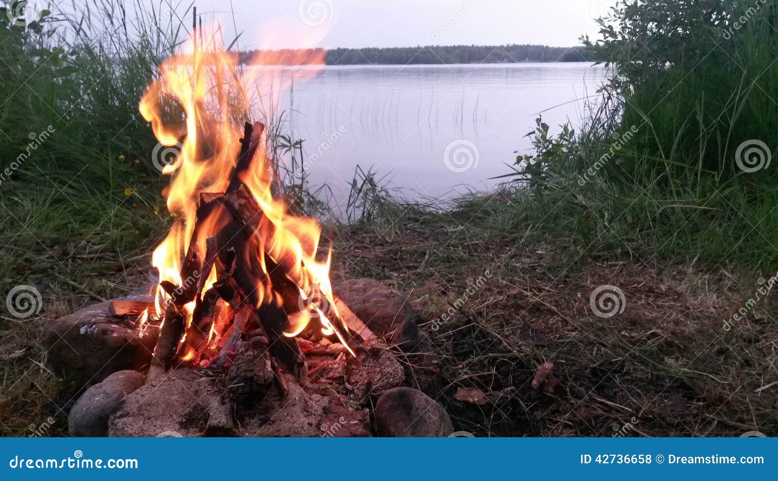 Campfire stock photo. Image of campfire, lake, water - 42736658