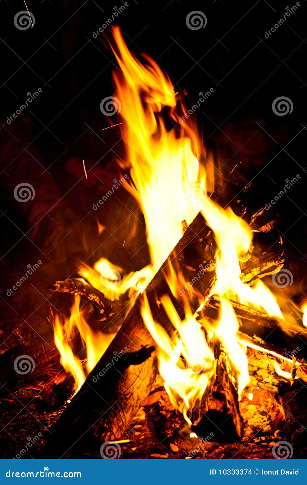 A Campfire Lighting the Dark Stock Photo - Image of black, burn: 10333374