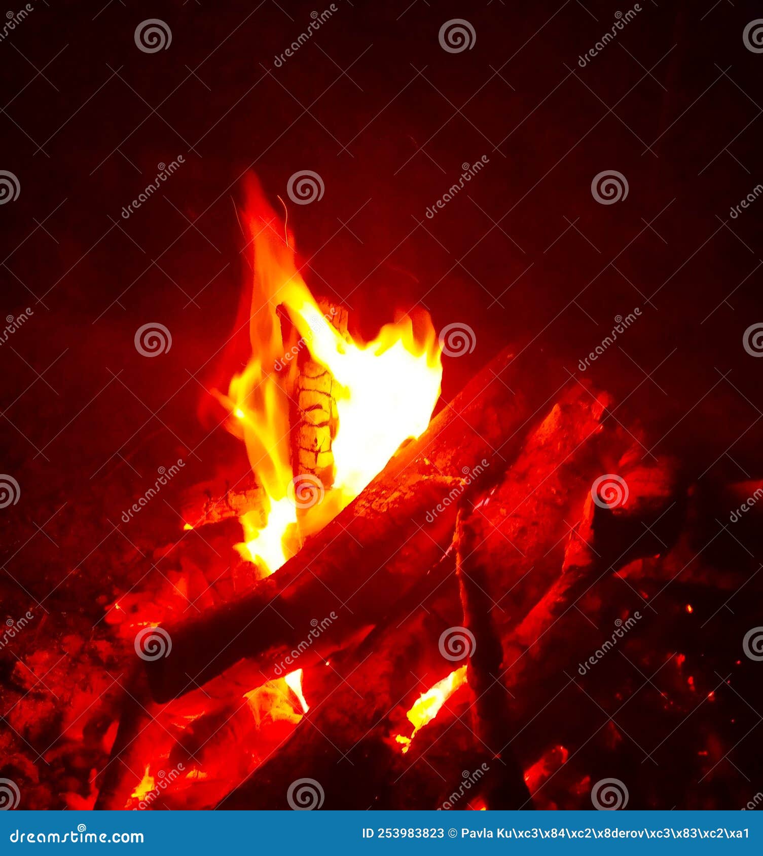 Campfire with a Little Flame Stock Image - Image of lighting, fire ...