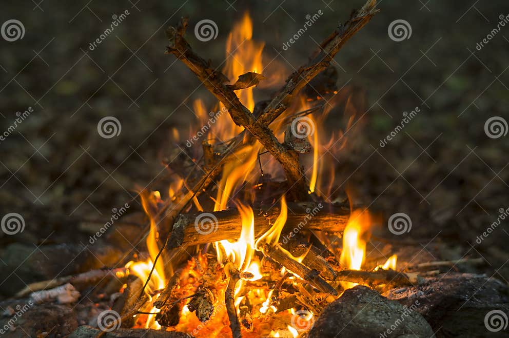 Campfire stock photo. Image of flame, camping, light - 67321986
