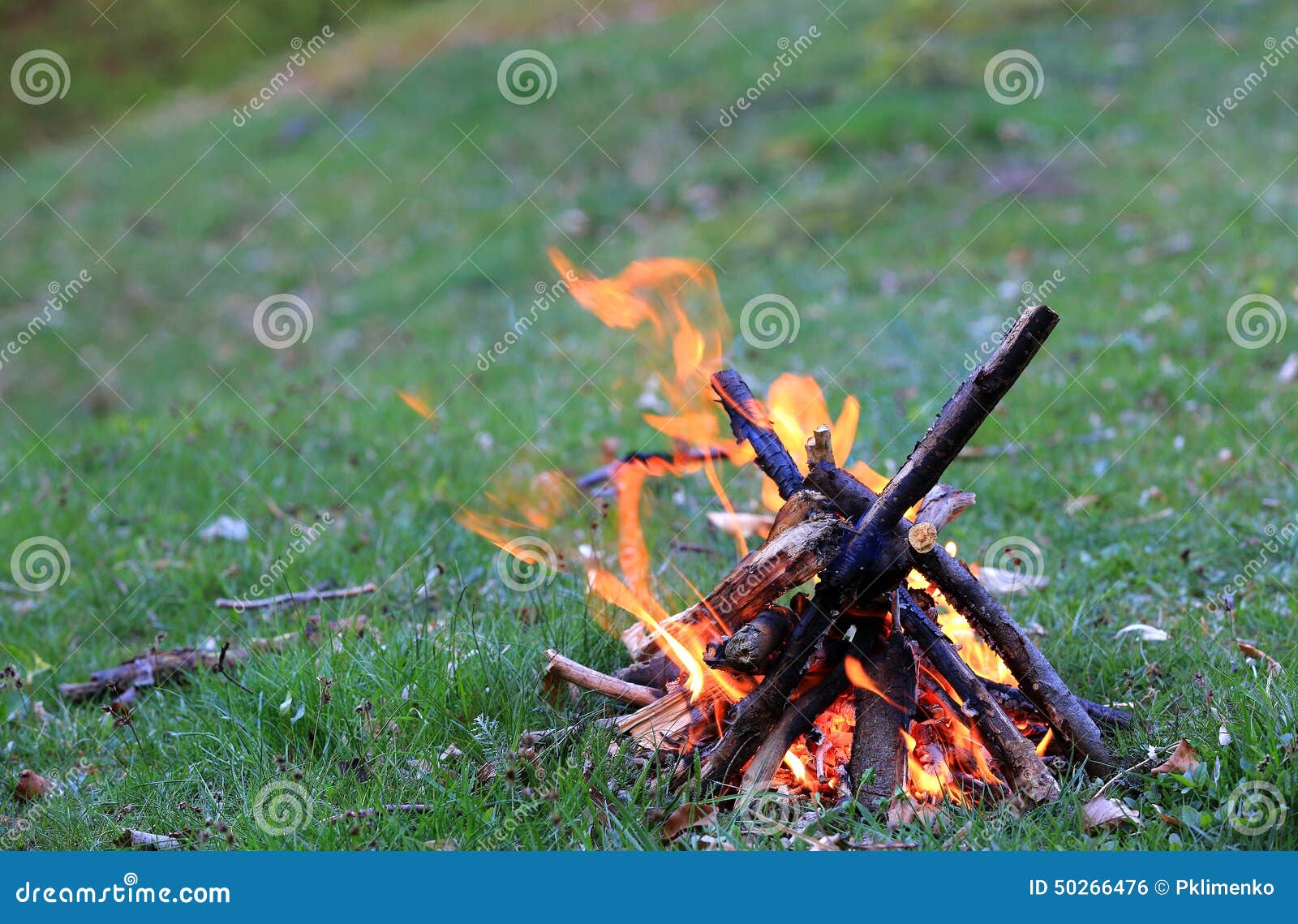 Campfire on meadow stock photo. Image of fire, warm, hell - 50266476
