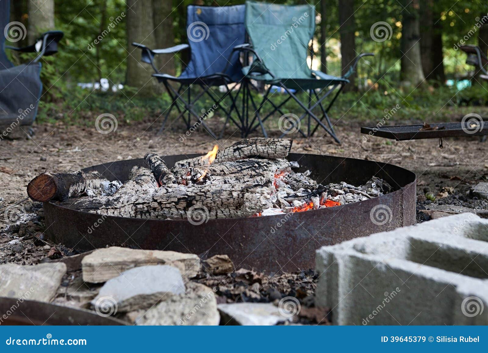 Campfire in Metal Fire Ring Stock Image - Image of burn, burning: 39645379