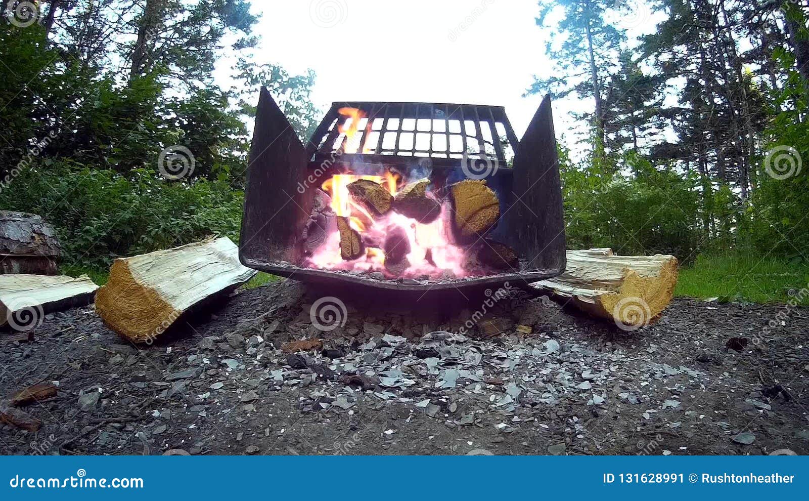 Front Facing Fire Pit stock video. Video of branches - 131628991