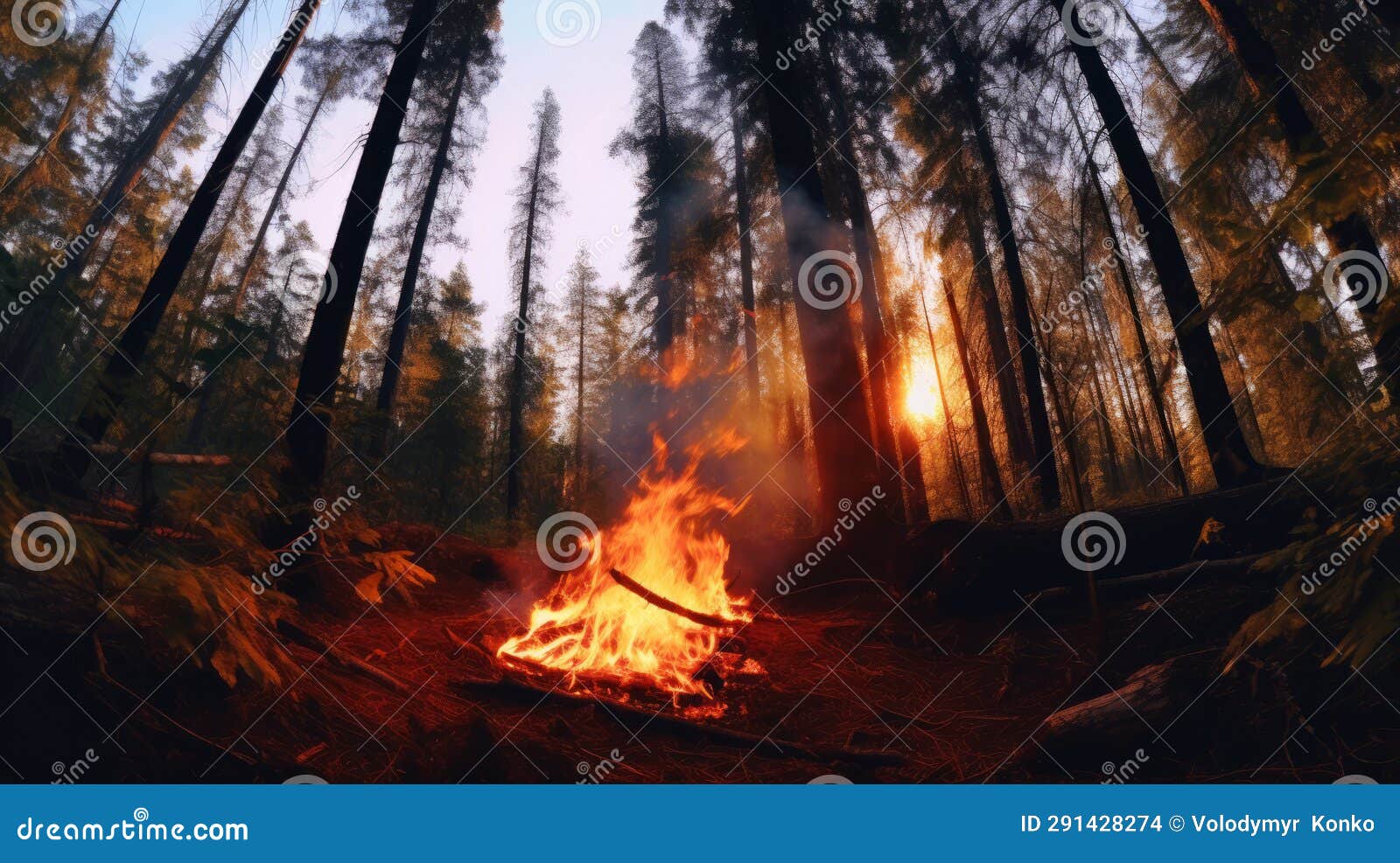 A Campfire Illuminating the Peaceful Forest Surroundings Stock Photo ...