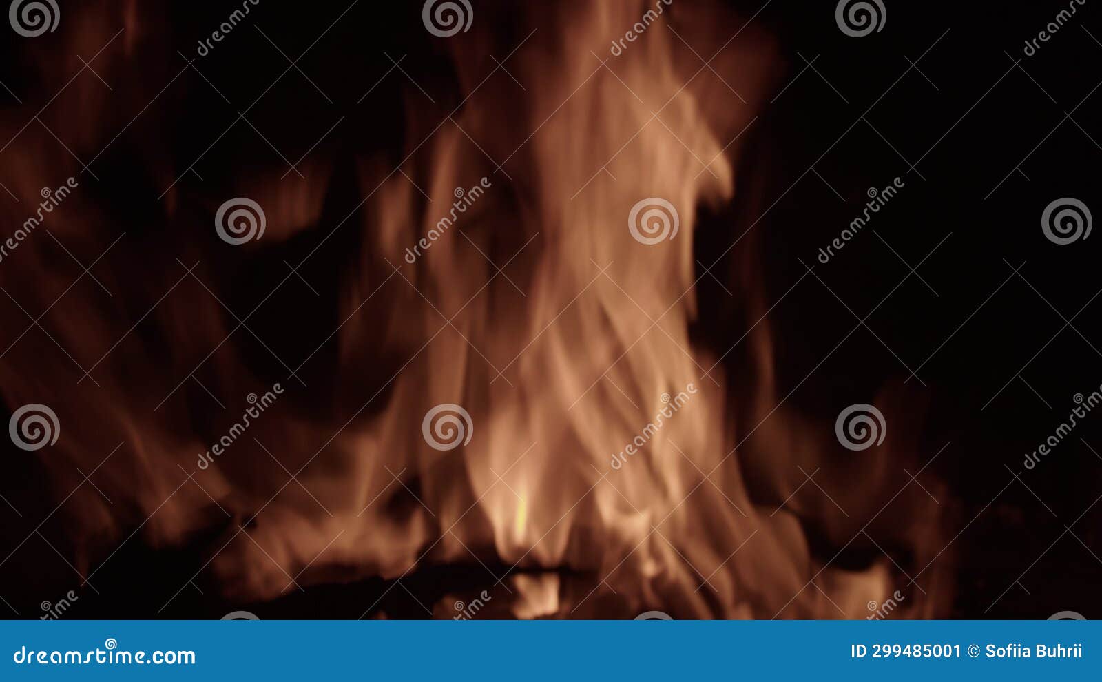 Campfire in the Middle of the Forest on a Dark Stock Video - Video of ...