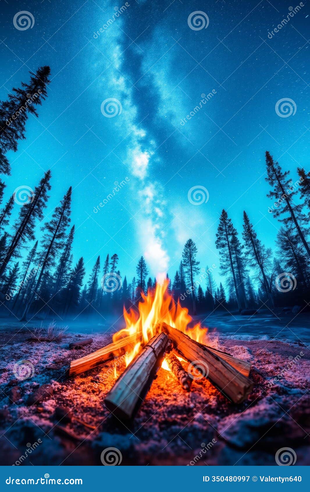 A Campfire in the Middle of a Forest Under a Starry Sky Stock Image ...