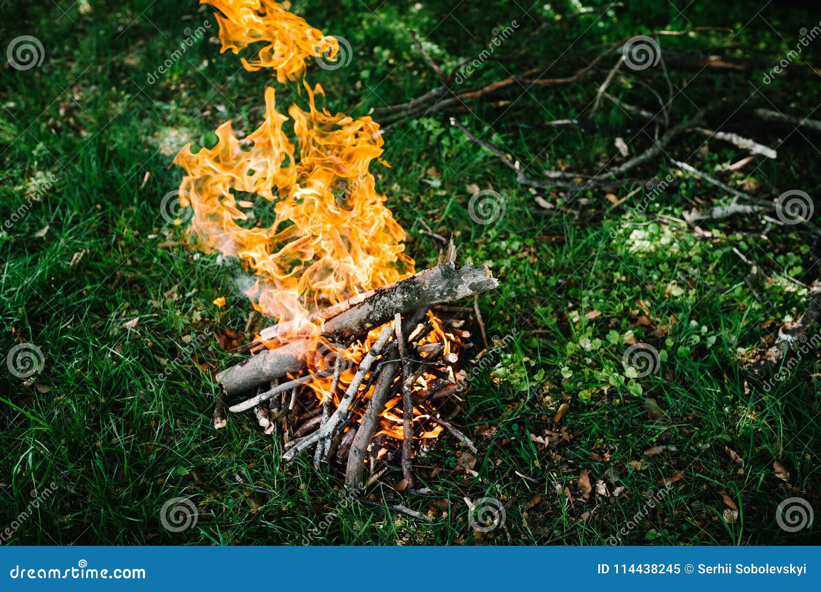 Campfire on the Nature. Bonfire, Rest on Holiday in Nature Stock Image ...