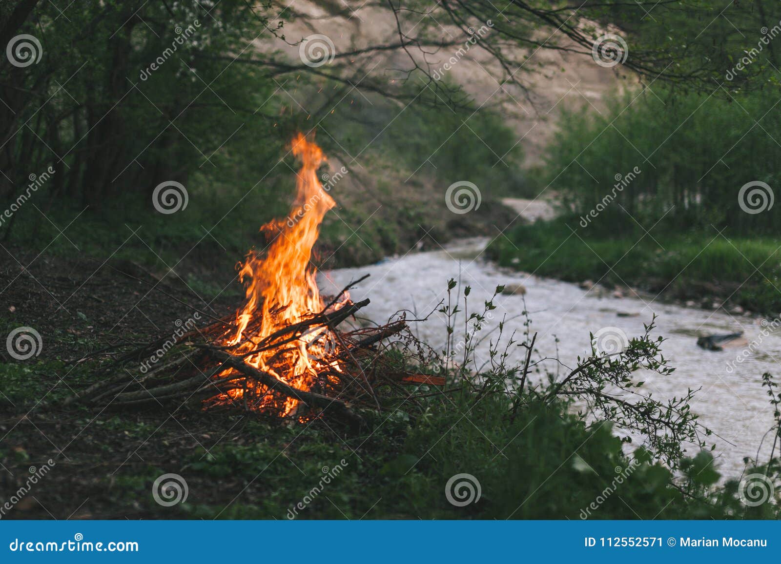 Campfire in Nature, Near To a River Stock Image - Image of flames ...