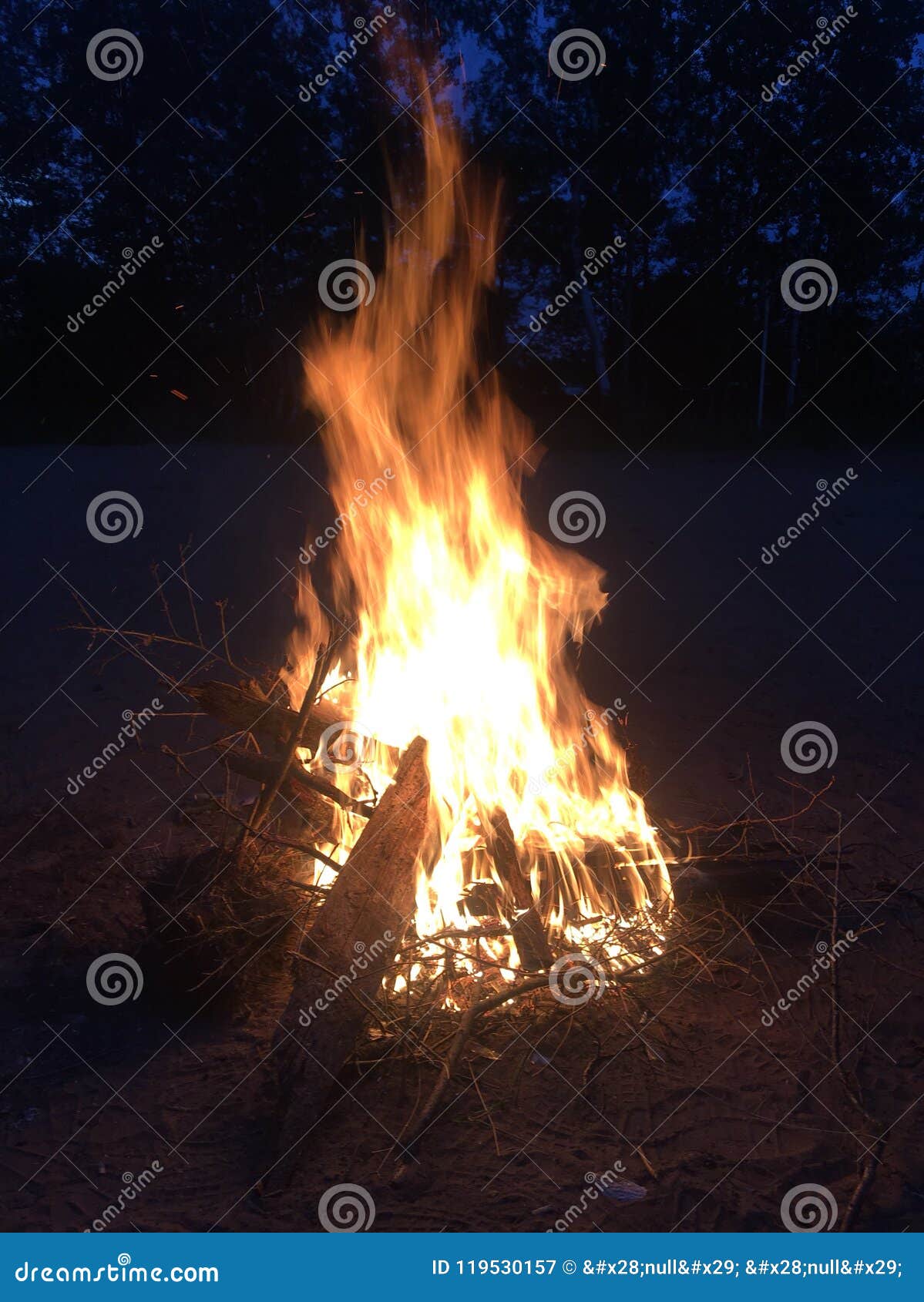 A campfire stock image. Image of nature, nice, campfire - 119530157