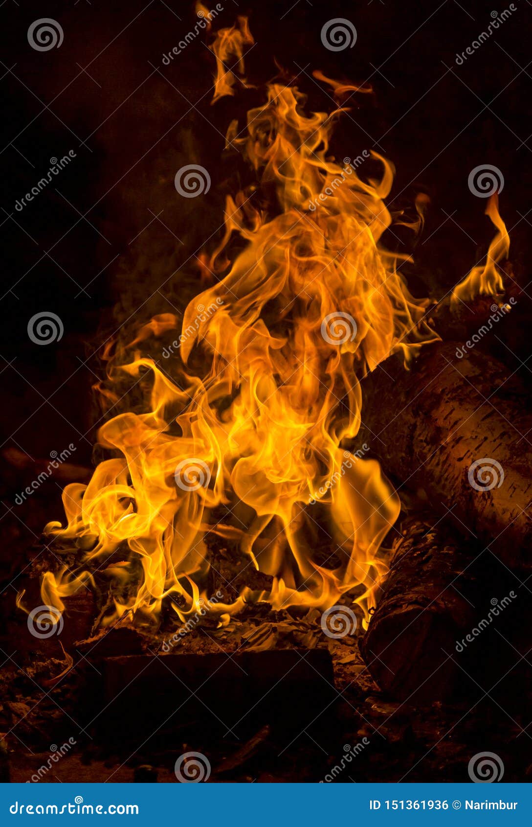 Campfire in the Night for Backgrounds Stock Photo - Image of detail ...