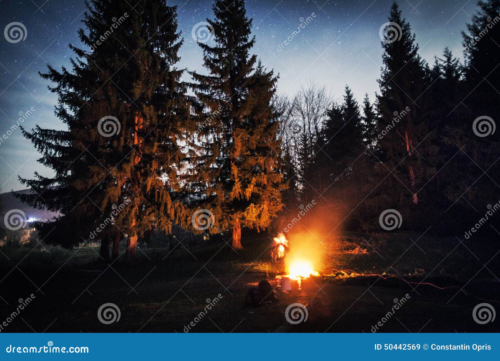 Campfire during night stock image. Image of campfire - 50442569