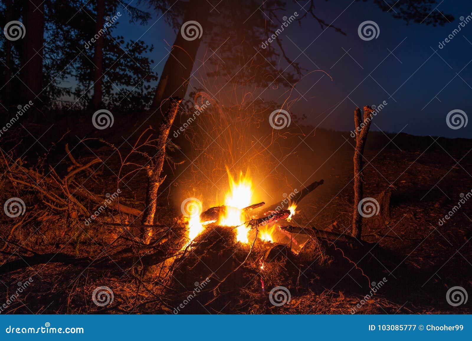 Campfire at night forest stock image. Image of black - 103085777