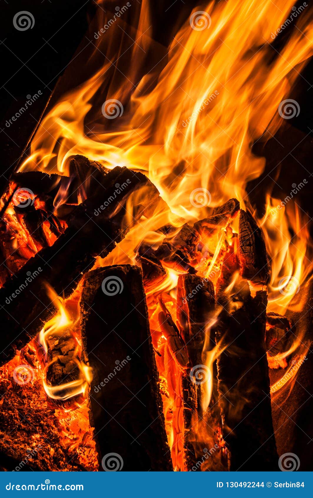 Campfire at night. Macro stock photo. Image of fire - 130492244