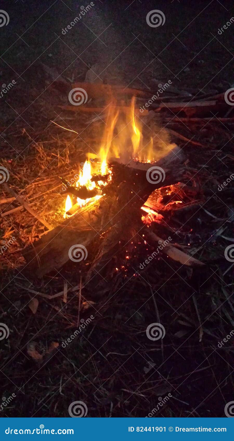 Campfire at night stock image. Image of campfire, wilderness - 82441901