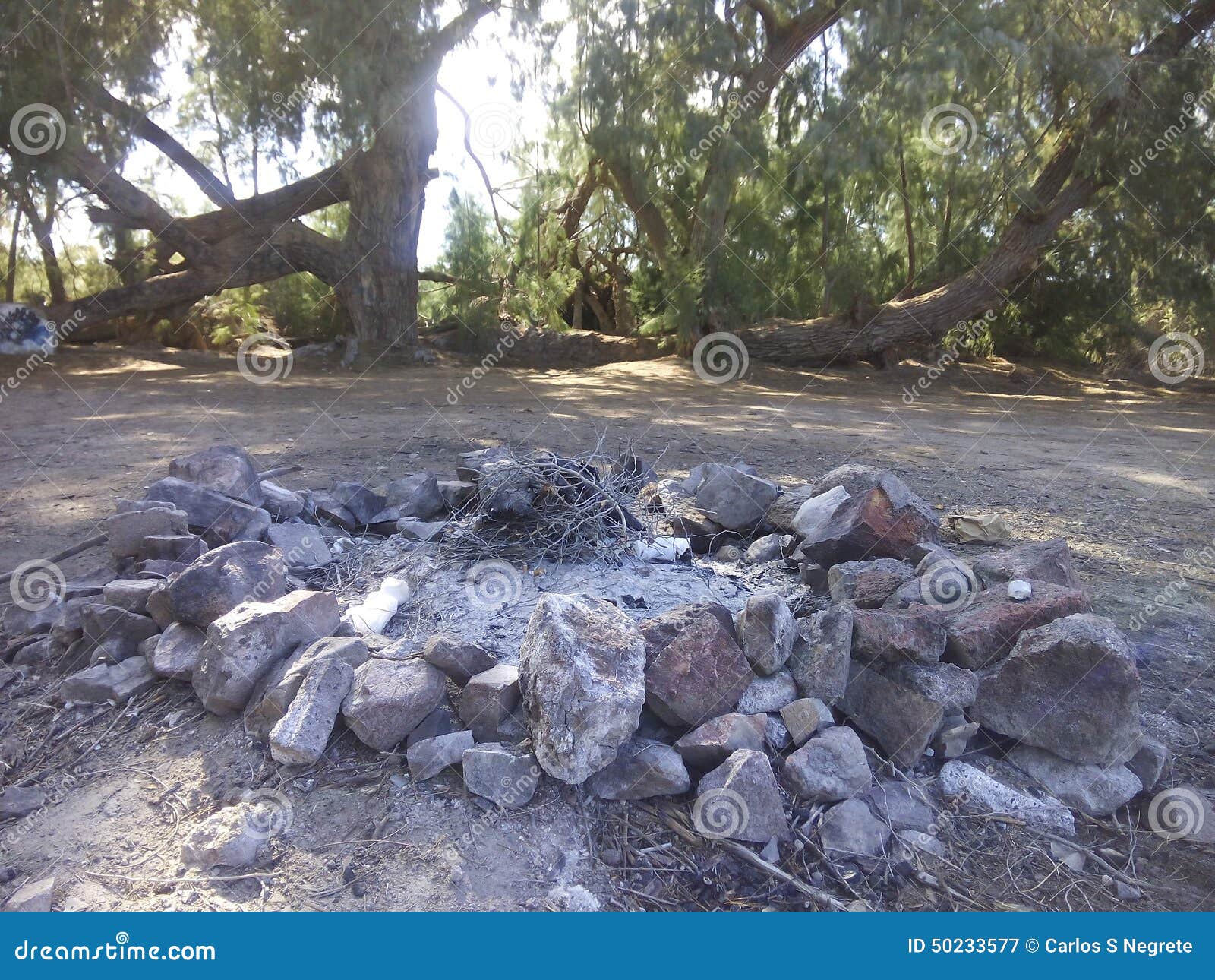 Campfire Pit stock image. Image of family, wood, ready - 50233577