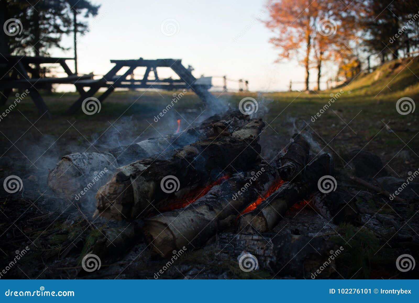 Campfire Place in Glade in the Mountains Stock Image - Image of ...