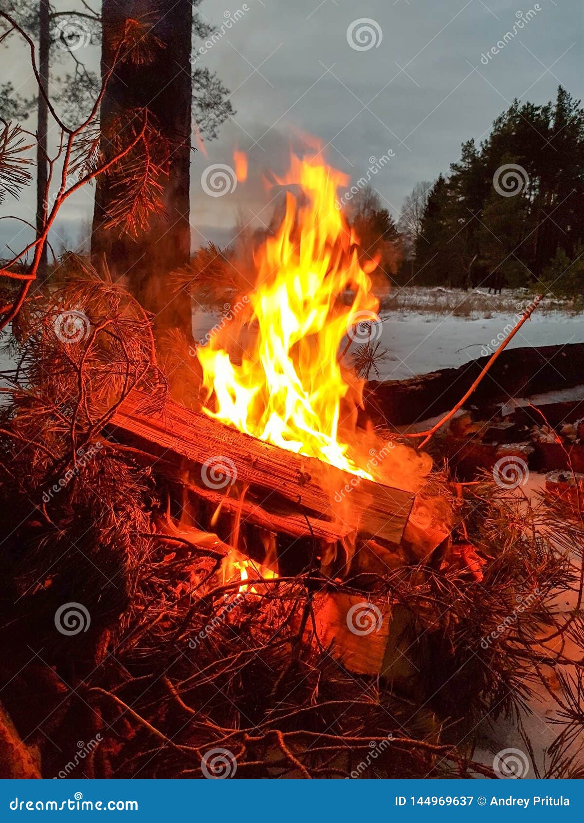 Campfire with Red Flame in the Winter Forest Stock Image - Image of ...