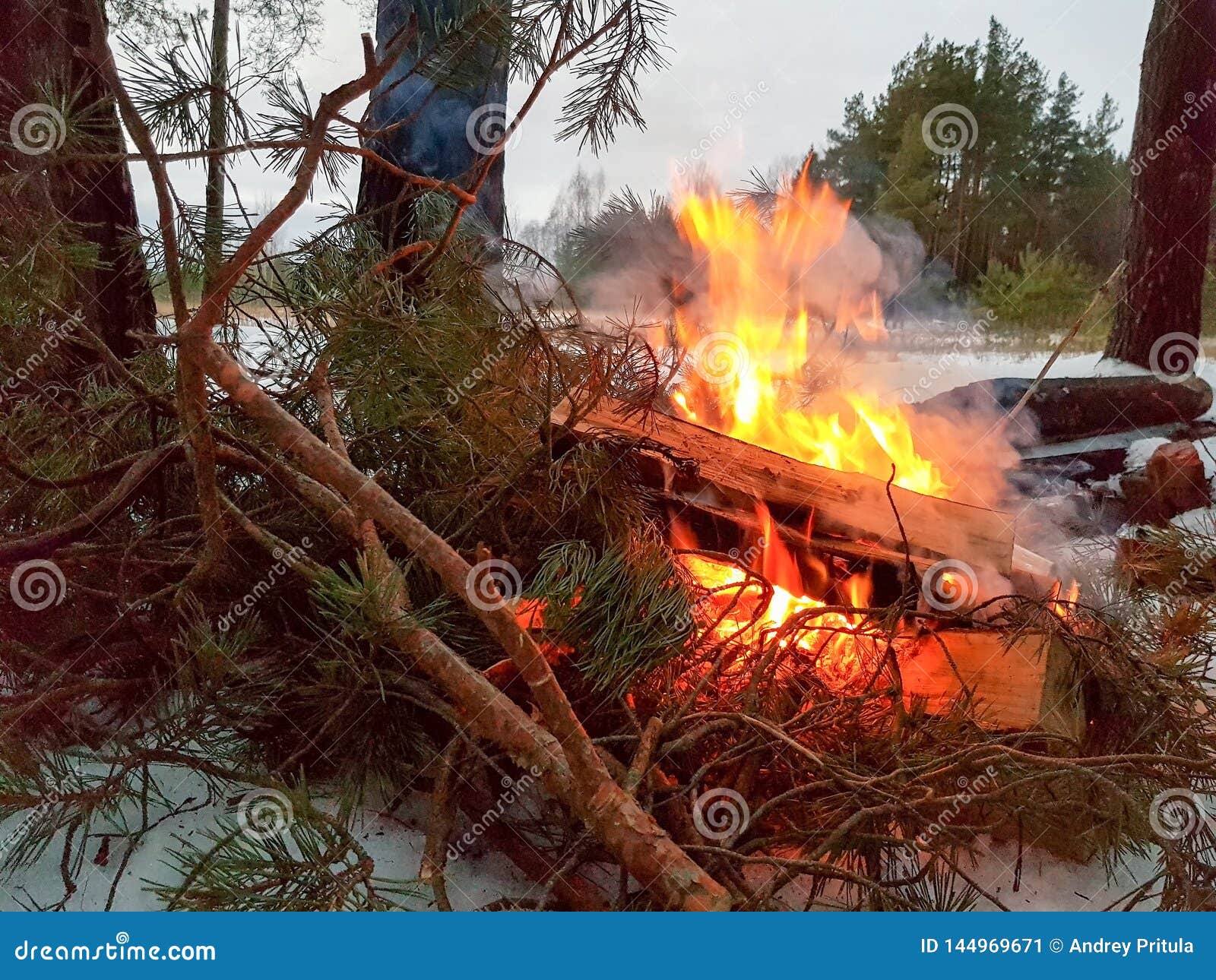 Campfire with Red Flame in the Winter Forest Stock Image - Image of ...