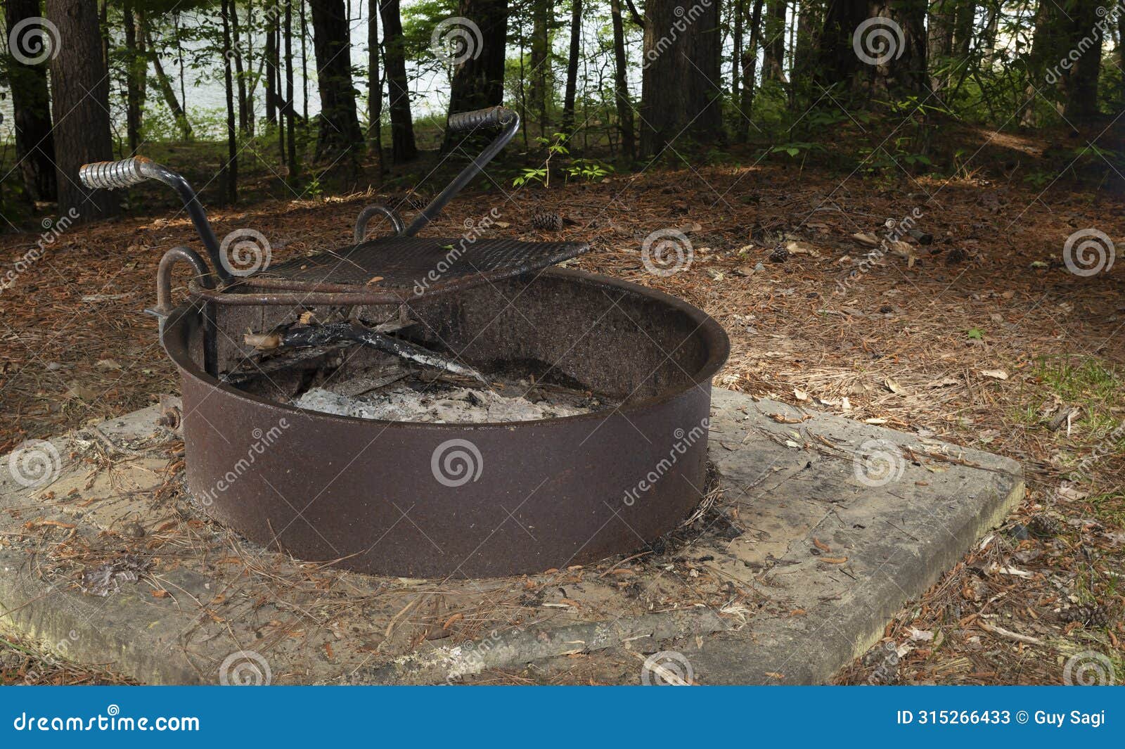Campfire Ring at Jordan Lake Stock Image - Image of pine, concrete ...