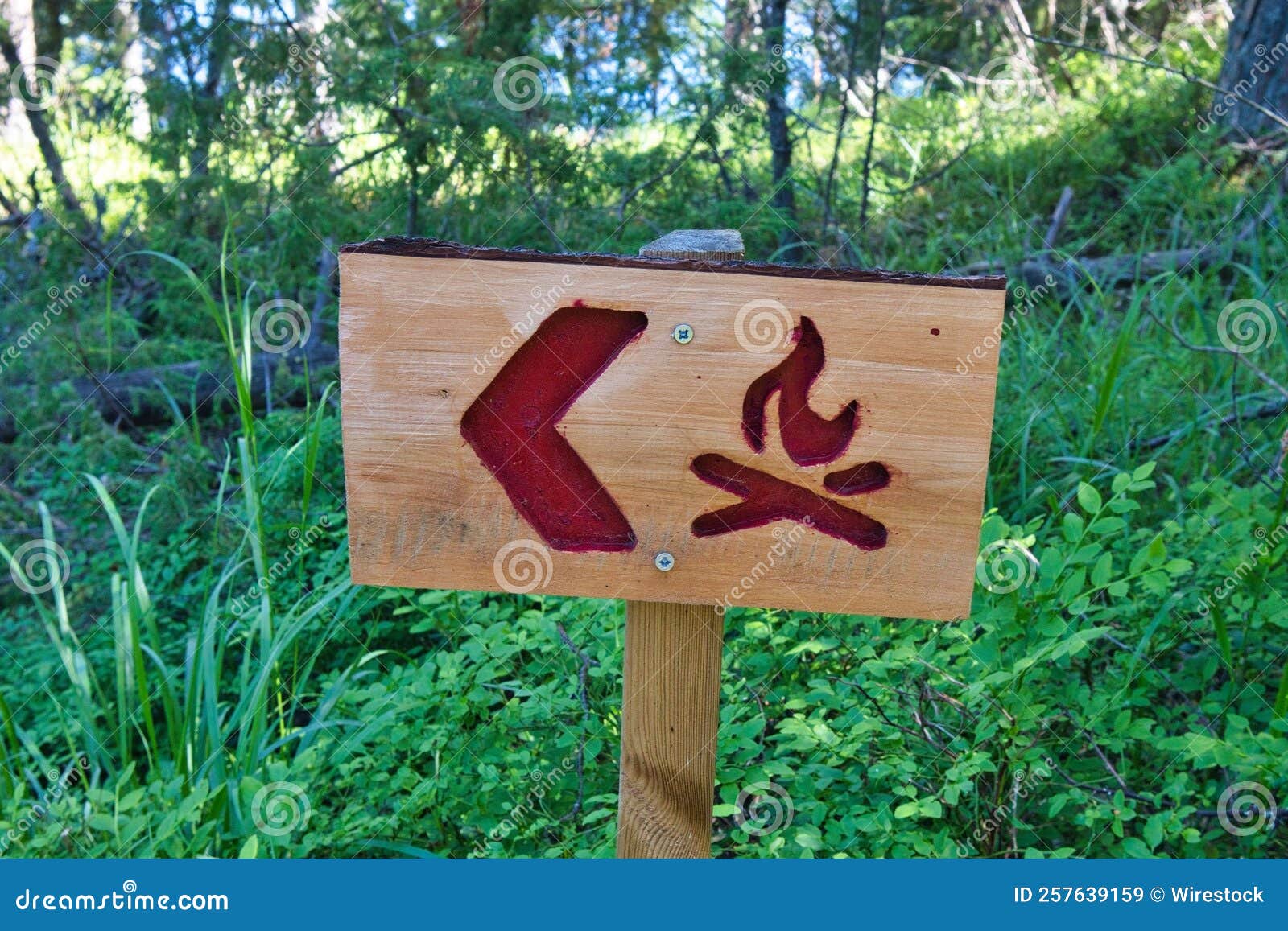 Campfire Sign in the Forest Stock Image - Image of tourism, emblem ...