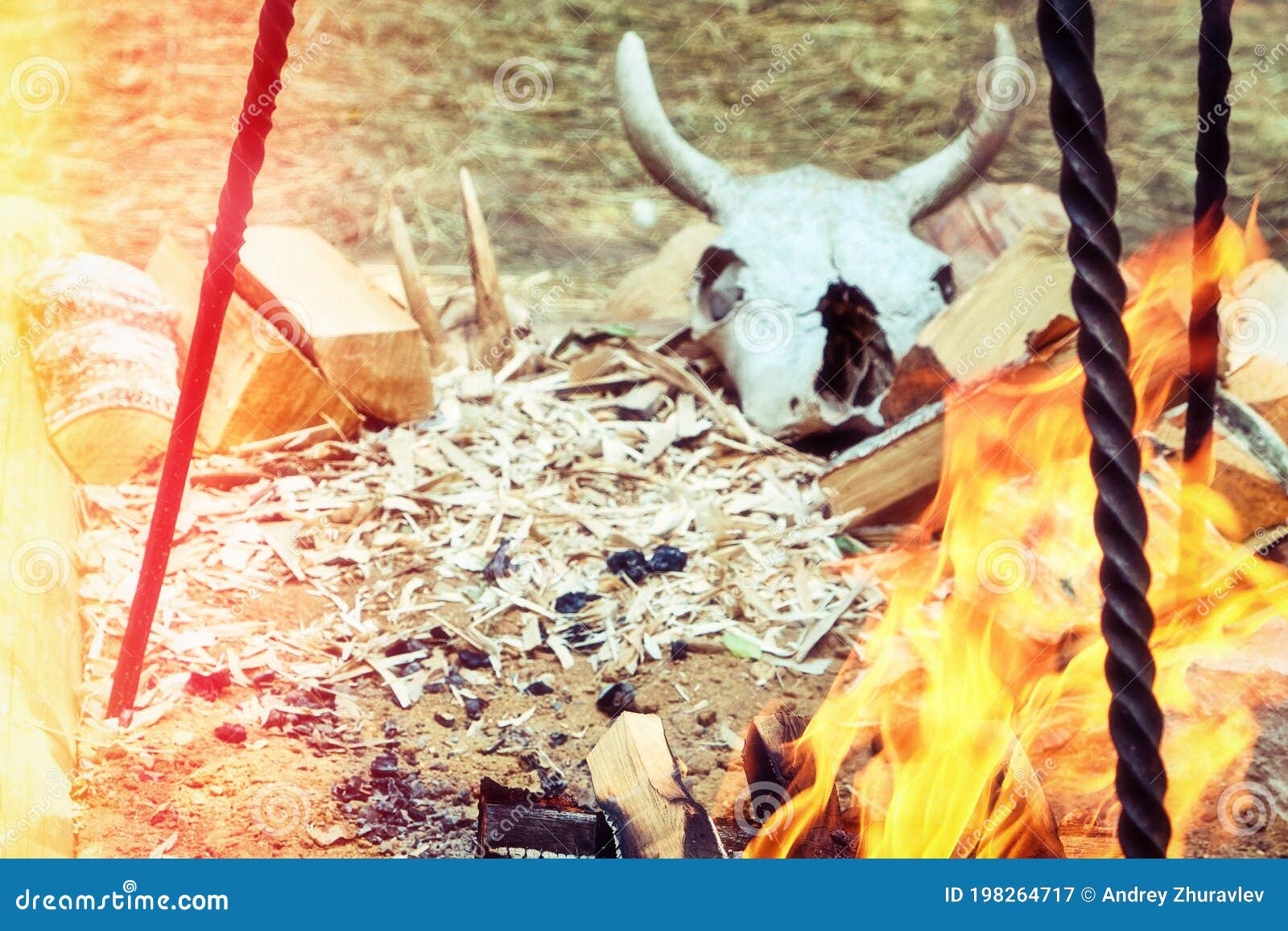 Campfire with the Skull of a Dead Cow. Fire at a Halt for Cooking in ...