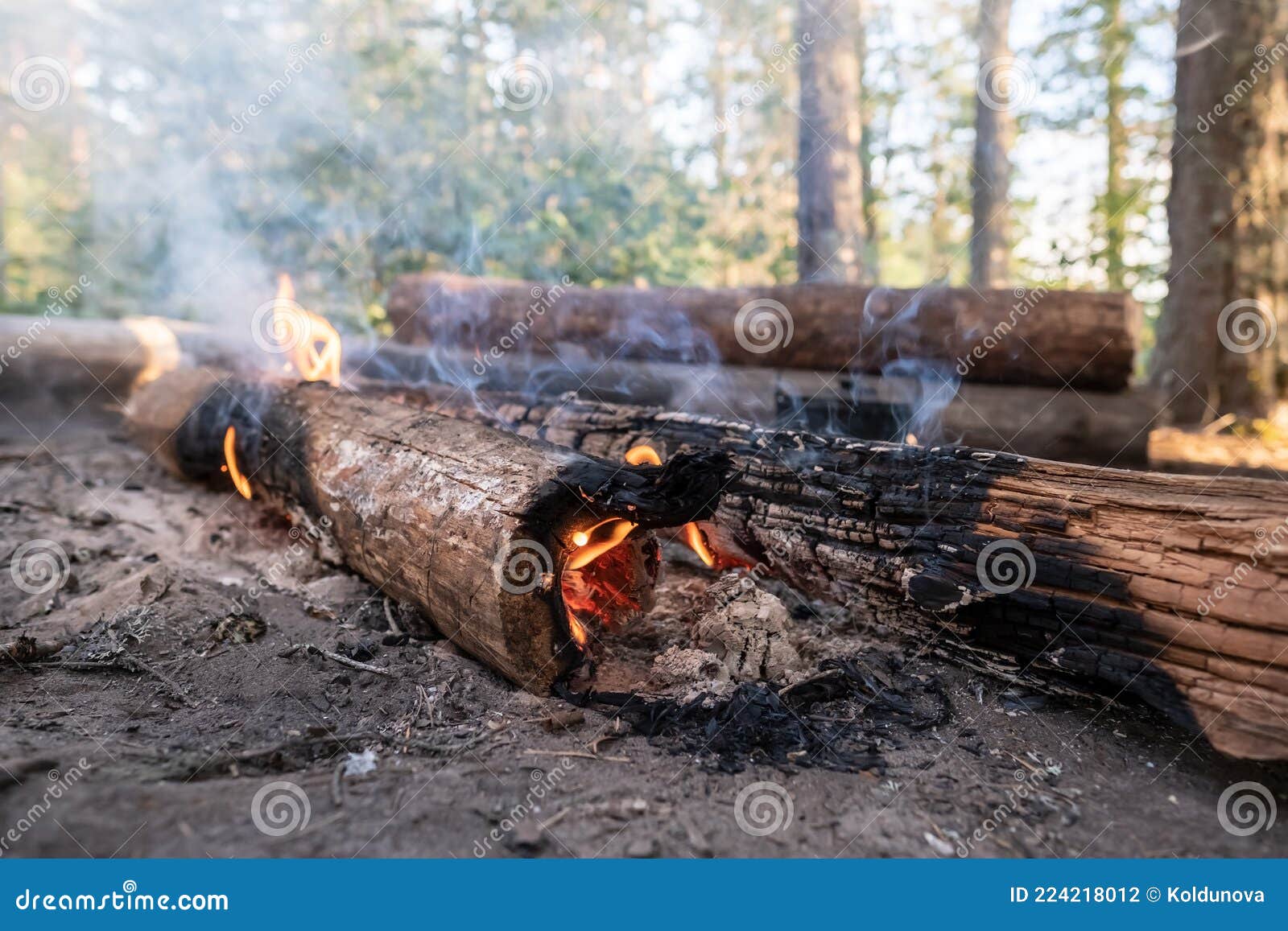 Campfire, Smoldering Logs and a Small Flame in the Camp, in the Forest ...