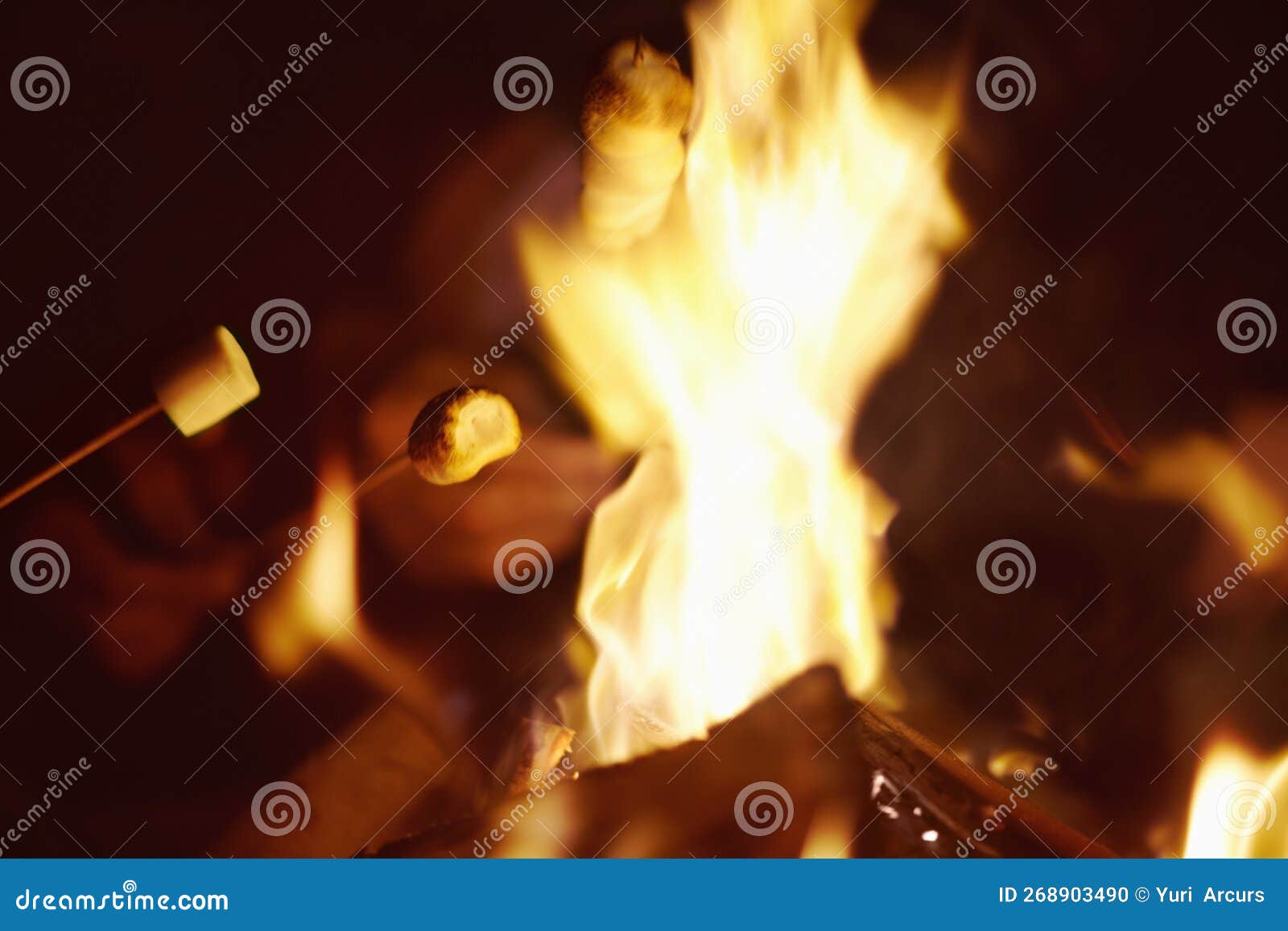 Campfire Snacks. Cropped View of Marshmallows Roasted on an Open Fire ...