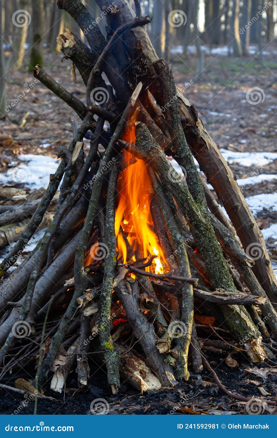 Campfire in the Spring Forest. Rest on the Weekend Stock Image - Image ...