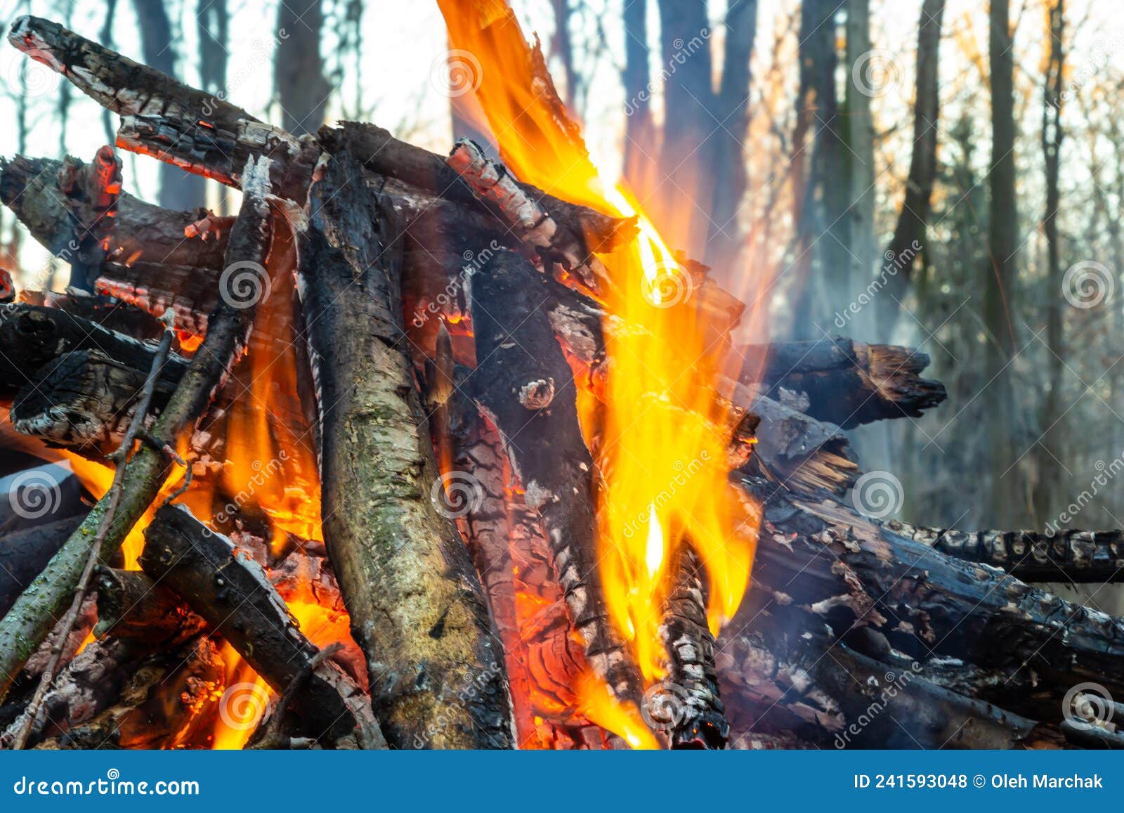 Campfire in the Spring Forest. Rest on the Weekend Stock Photo - Image ...