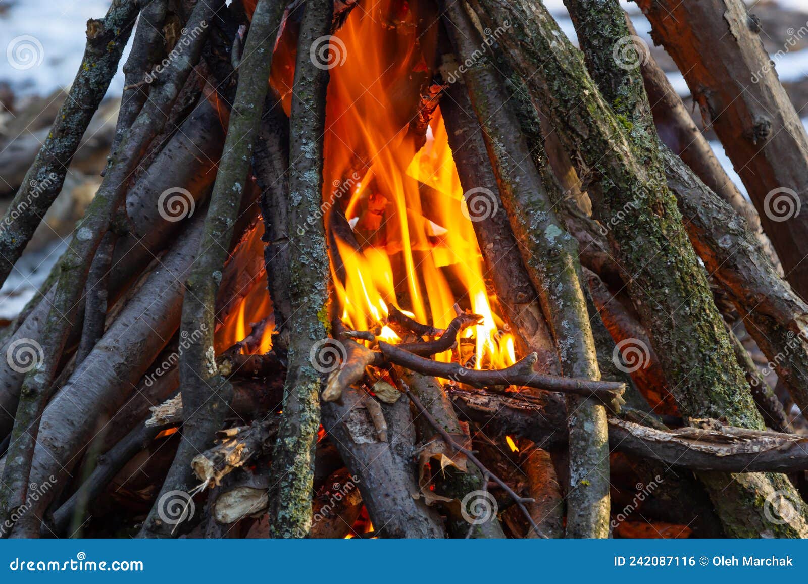 Campfire in the Spring Forest. Rest on the Weekend Stock Photo - Image ...