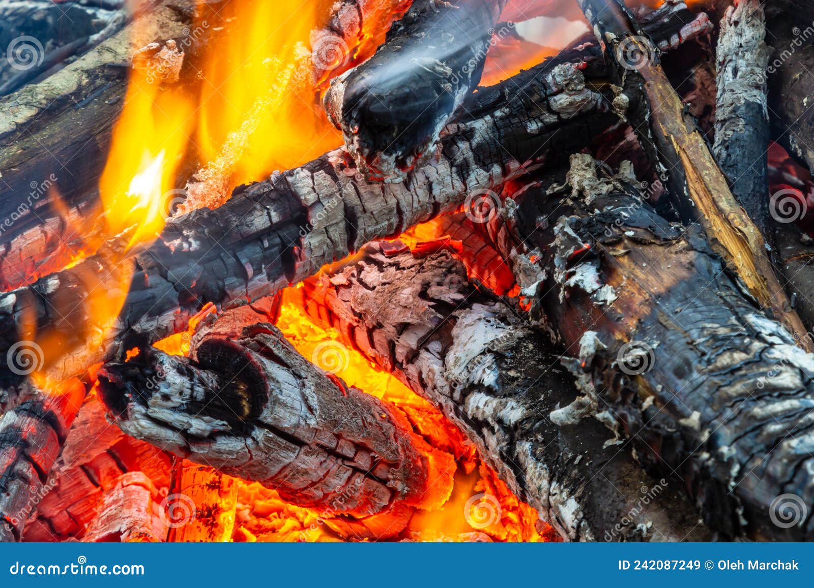 Campfire in the Spring Forest. Rest on the Weekend Stock Image - Image ...