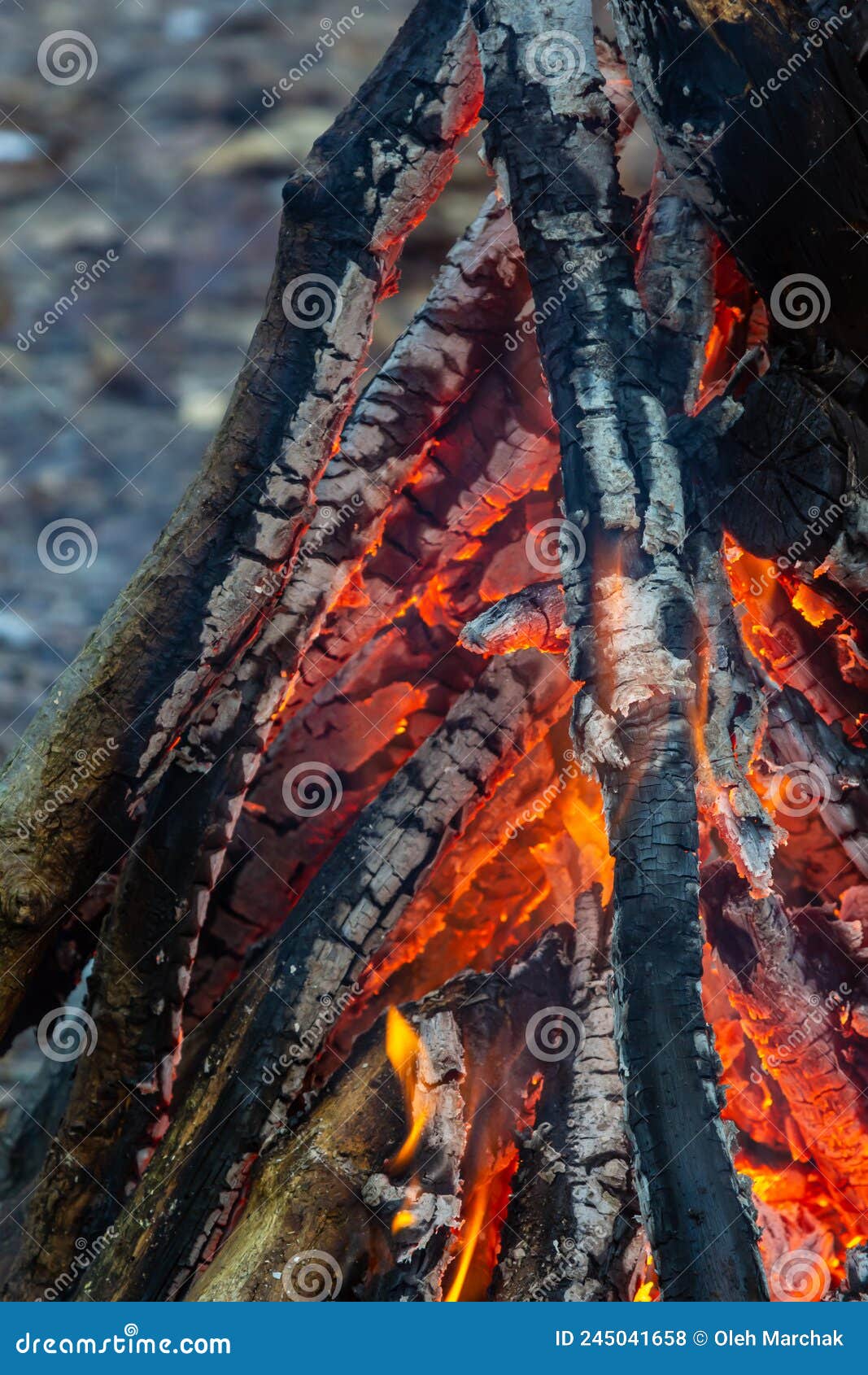 Campfire in the Spring Forest. Rest on the Weekend Stock Photo - Image ...