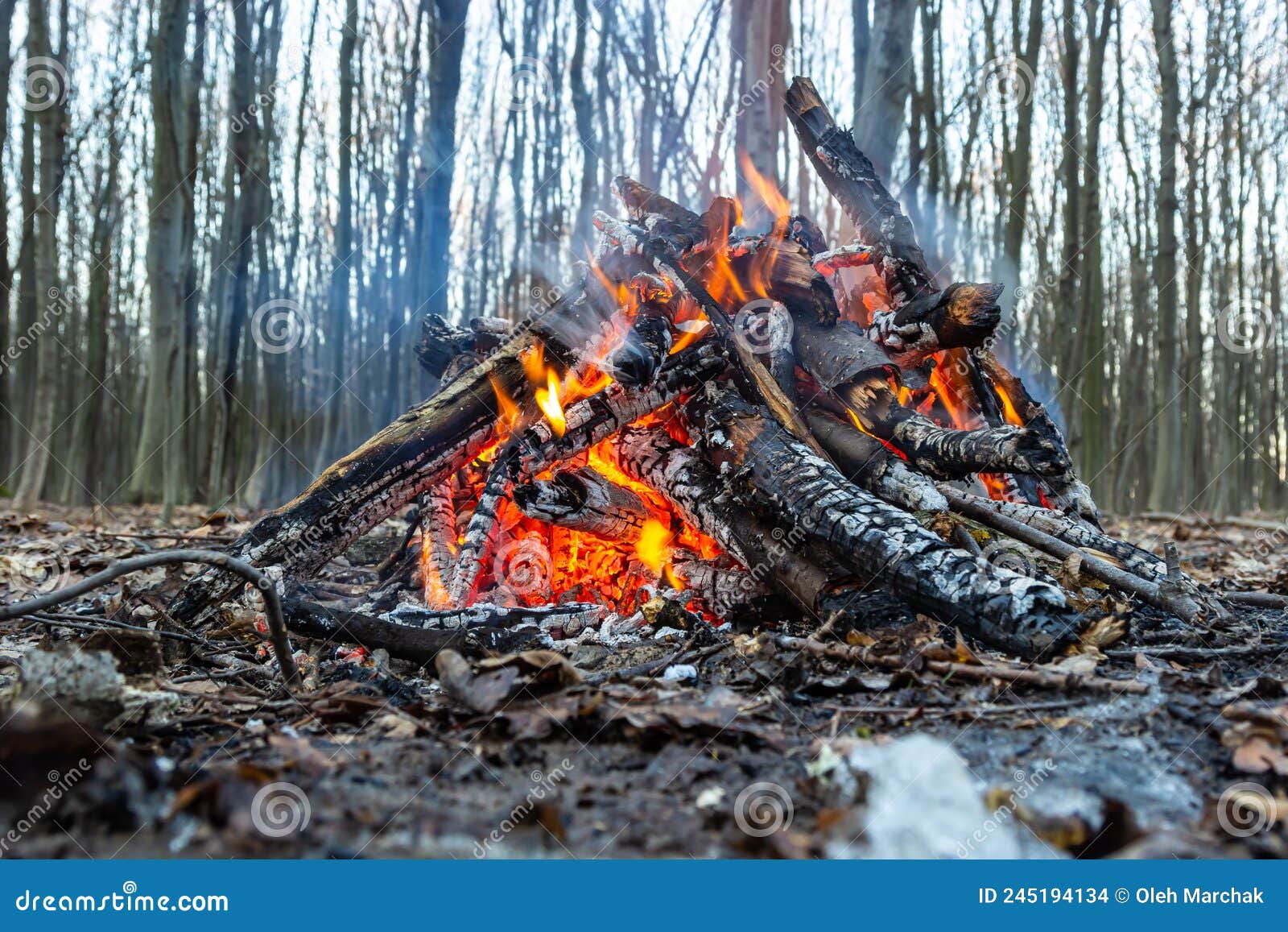 Campfire in the Spring Forest. Rest on the Weekend Stock Photo - Image ...