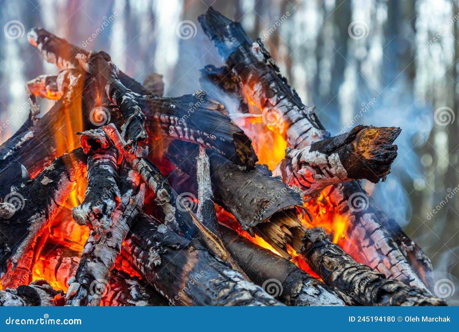 Campfire in the Spring Forest. Rest on the Weekend Stock Photo - Image ...
