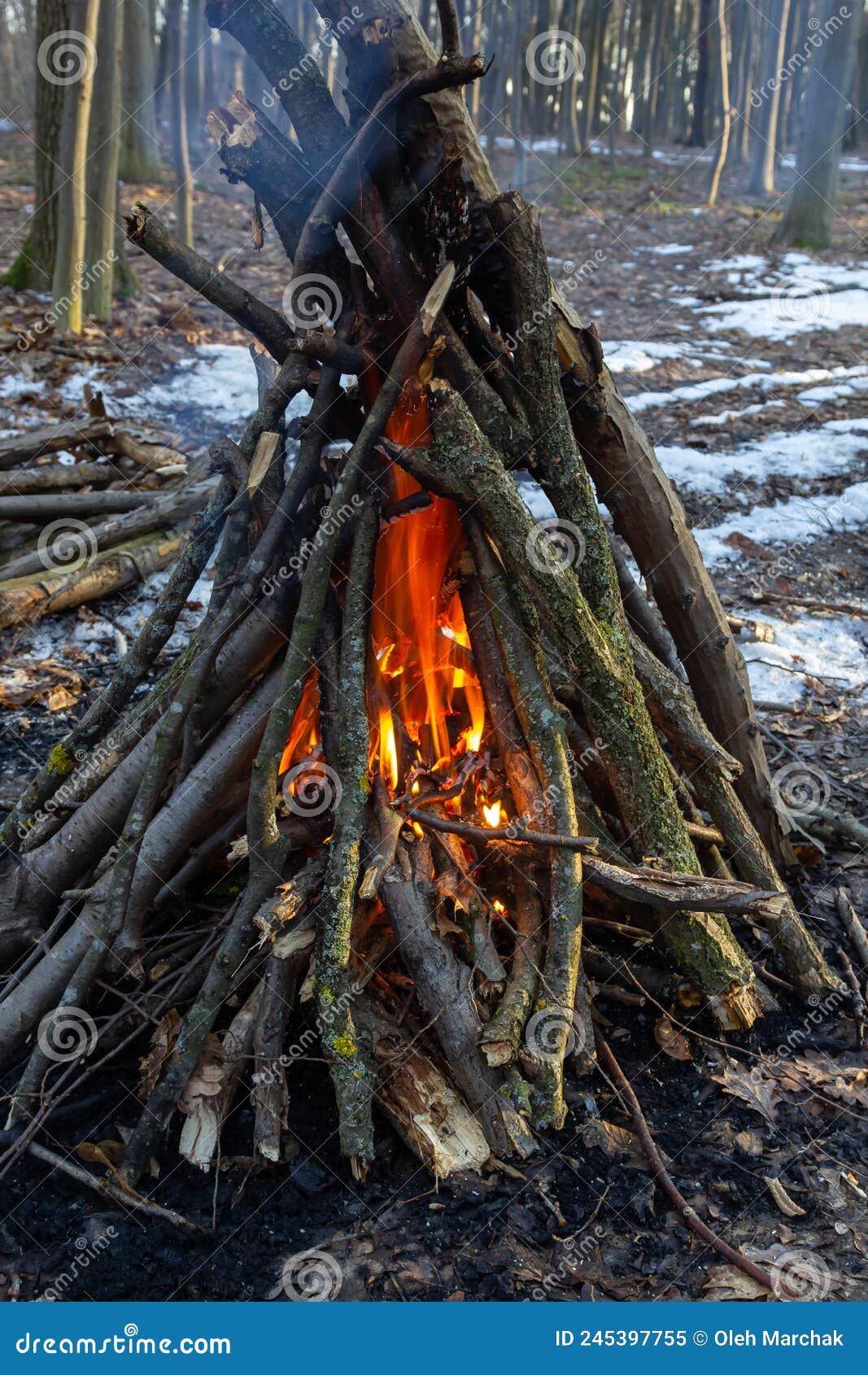 Campfire in the Spring Forest. Rest on the Weekend Stock Image - Image ...