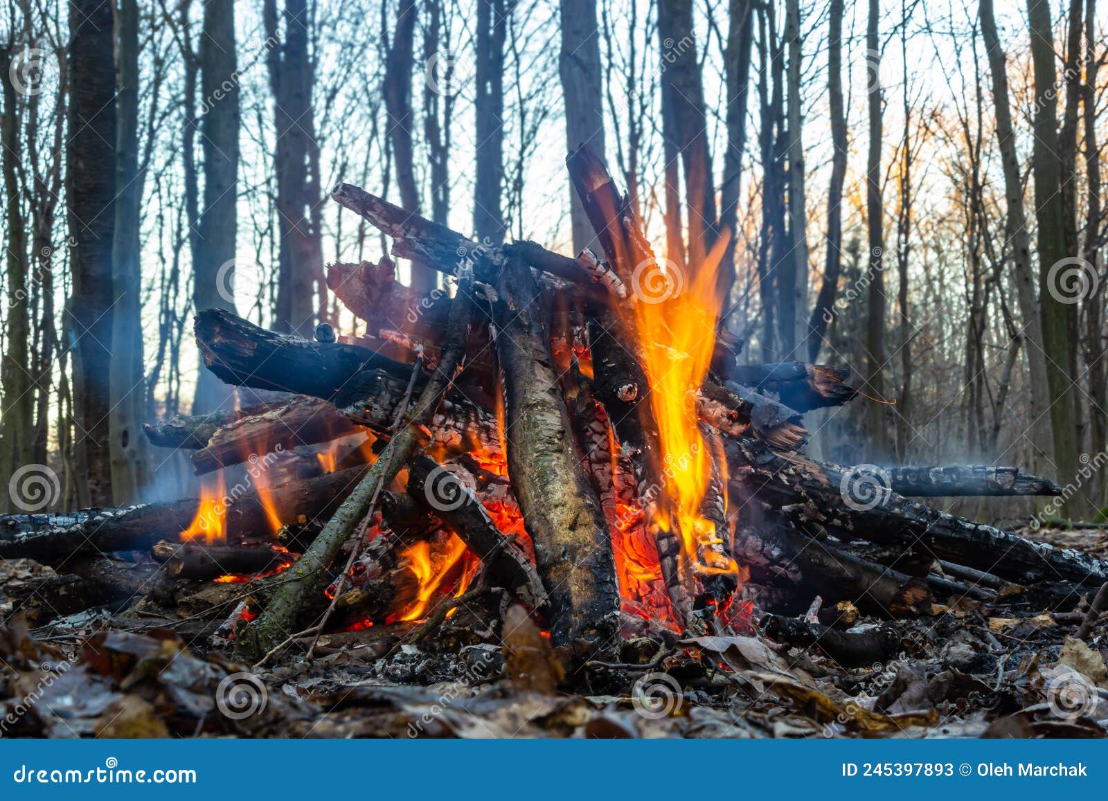 Campfire in the Spring Forest. Rest on the Weekend Stock Image - Image ...