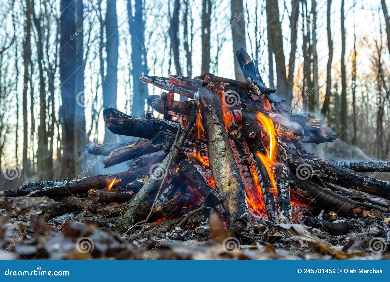 Campfire in the Spring Forest. Rest on the Weekend Stock Image - Image ...