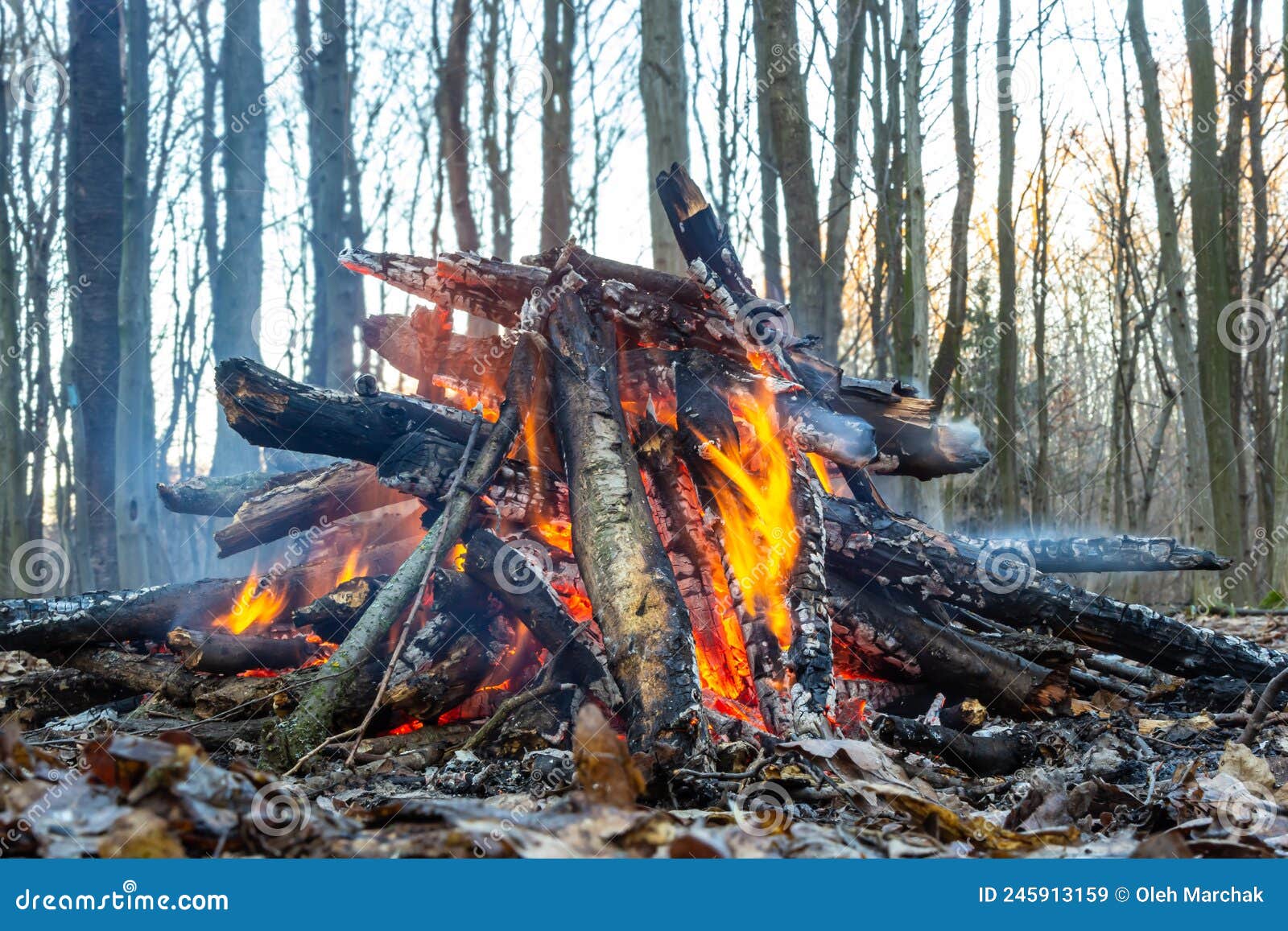 Campfire in the Spring Forest. Rest on the Weekend Stock Image - Image ...